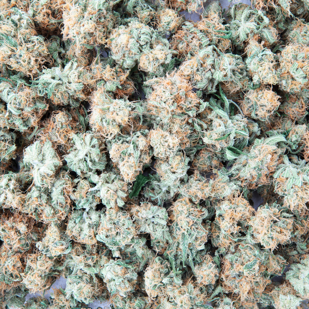 Mac 1 Weed Strain Overview | COMMENCEMENT BAY CANNABIS